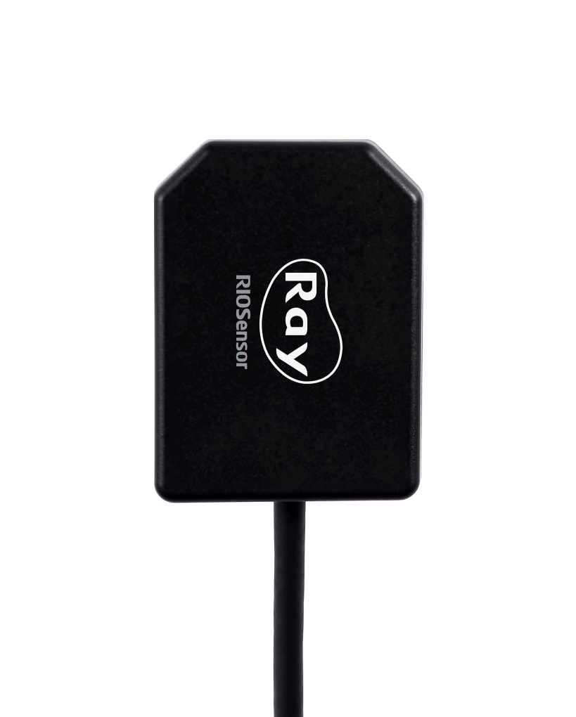 RAY - The Future of Face-Driven Dentistry